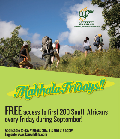 Home - Ezemvelo KZN Wildlife